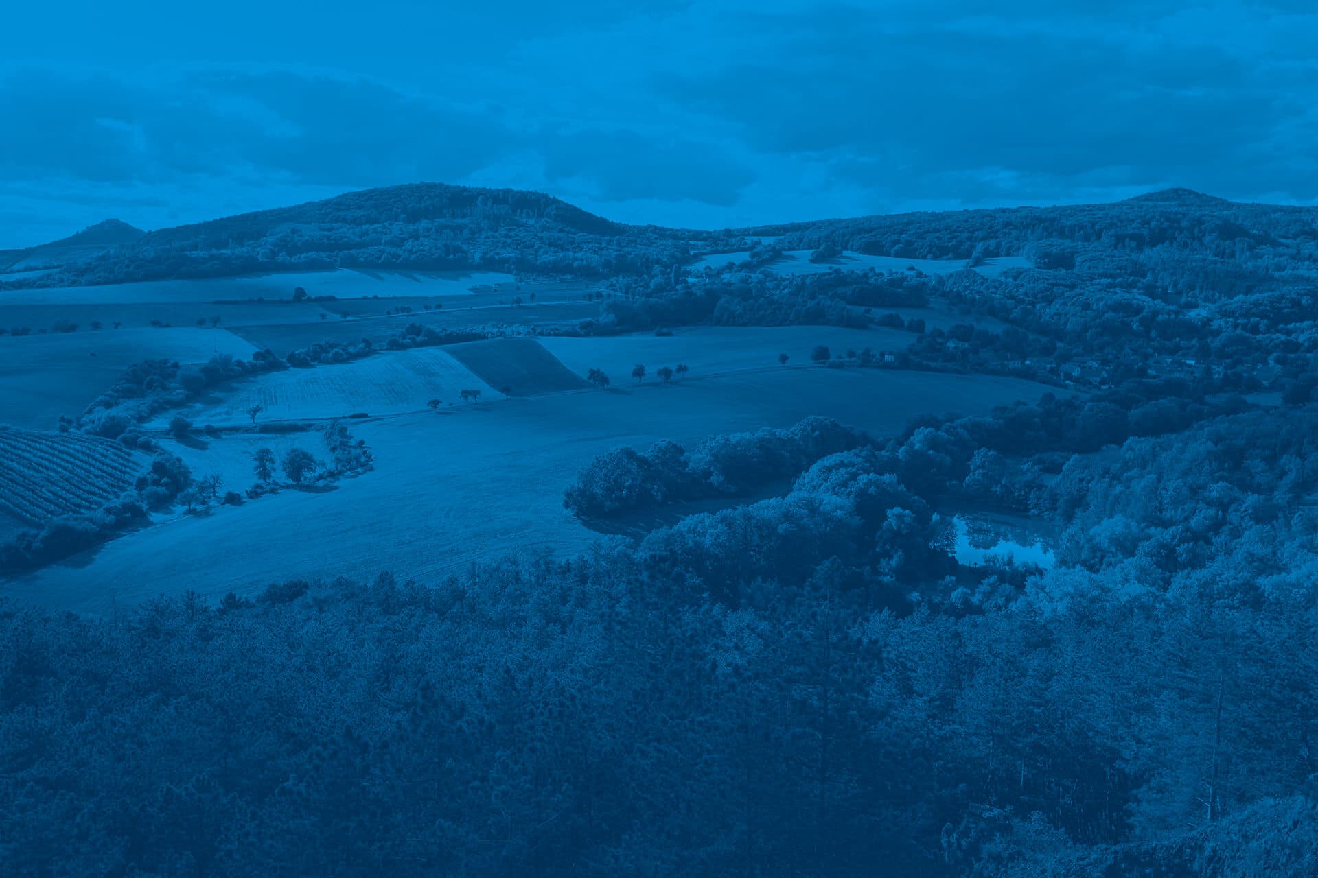 About | Marius Pedersen a.s.